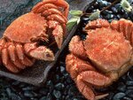 RuSeaFood (proyezd 5P No:1/1, Nefteyugansk), balık ve deniz ürünleri  Nefteyugansk'tan