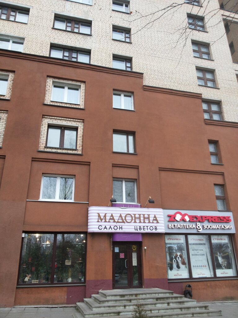 Çiçekçiler Salon tsvetov Madonna, Minsk, foto