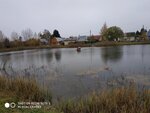 Правление СНТ Живописный (Moscow Region, Naro-Fominskiy City District, sadovoye tovarishchestvo Zhivopisny), bina, site yönetimi  Moskova ve Moskovskaya oblastından