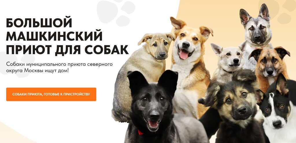 Hayvan barınakları, kulüpleri ve otelleri Муниципальный приют, Moskova, foto