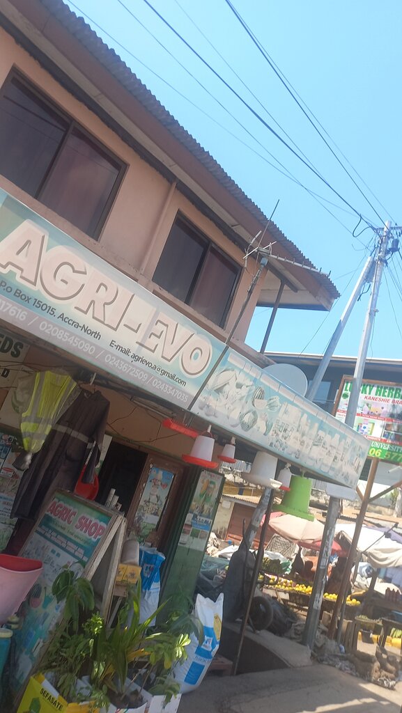 Tohum satan yerler Agri-evo, Akra, foto