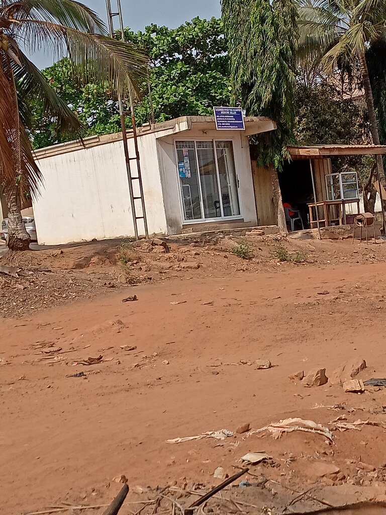 Eczaneler Leticia Ankomahene, Dünya, foto