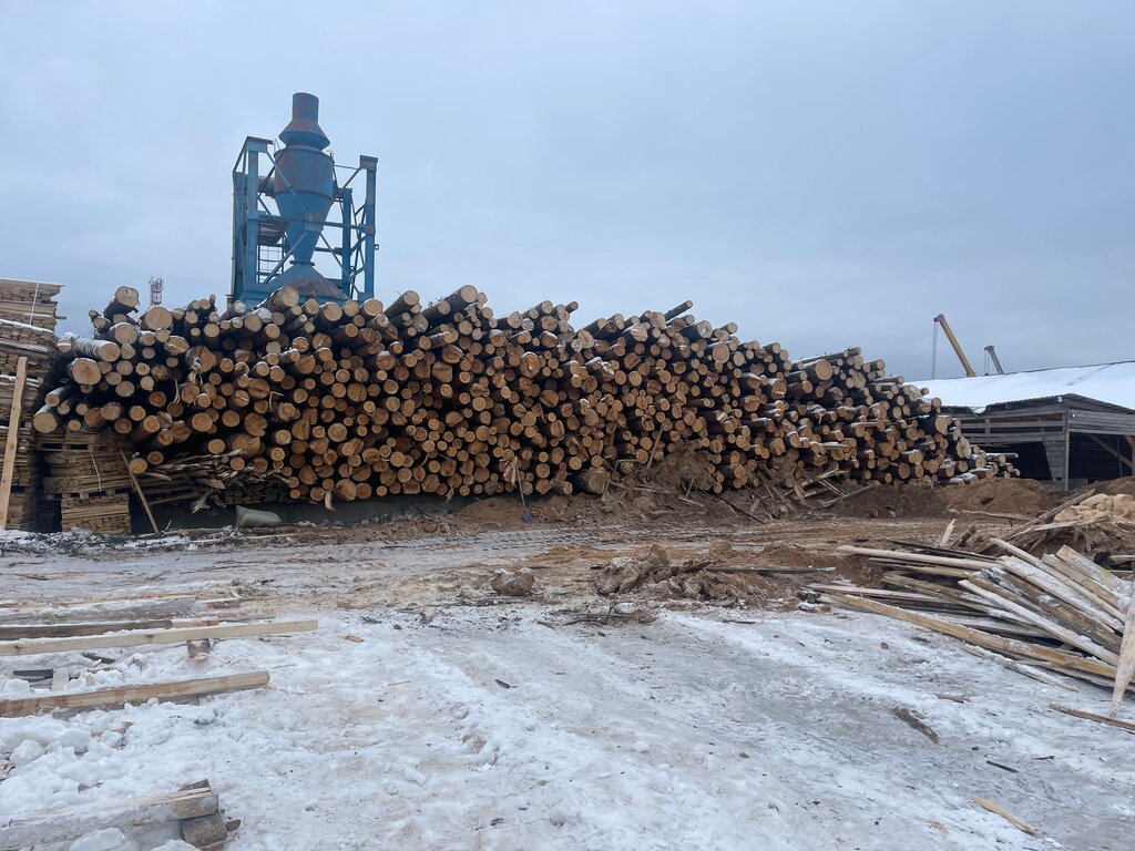 Kereste üretim ve satış şirketleri Pilim les, Moskova ve Moskovskaya oblastı, foto