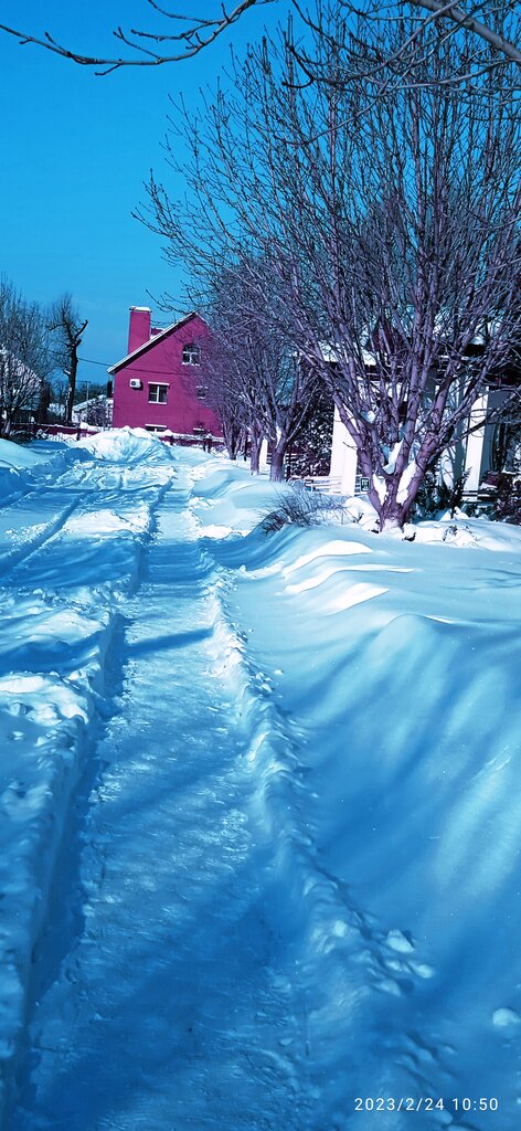 Sosyal rehabilitasyon merkezi Созвездие, Samara, foto