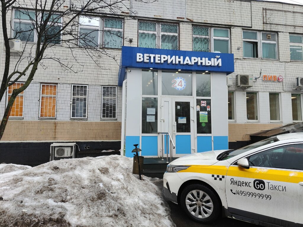 Evcil hayvan kuaförleri Zooparikmakherskaya Barbos, Moskova, foto