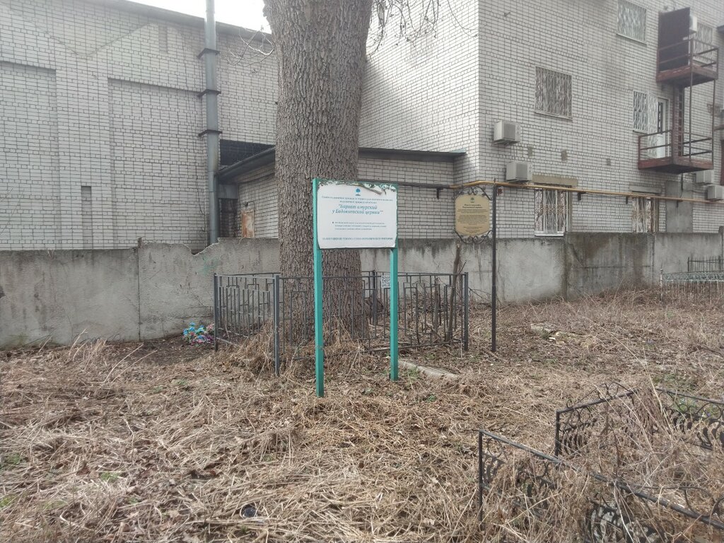 Doğa Amur Velvet at the Evdokia`s Church Protected Natural Object, Lipetsk, foto