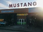 Jasmaster (Yrysty kóshesi No:14/1, Alatau City Administrative District), otomobil servisi  Almatı'dan