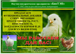 Biotep (Stavropol Territory, Kirovskiy munitsipalny okrug, Novopavlovsk), yem ve yem katkı maddeleri  Novopavlovsk'tan