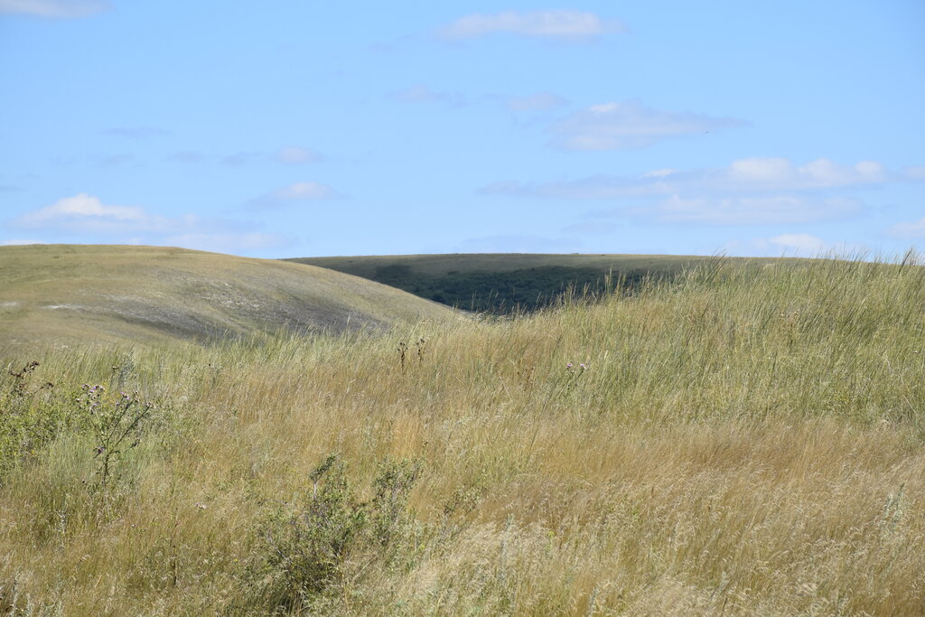Doğa Зобовское карстовое поле, Orenburgskaya oblastı, foto