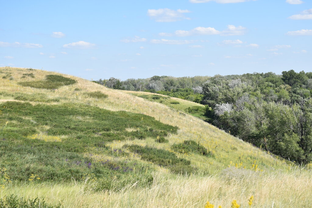 Doğa Геологический памятник природы Петропавловский разрез, Orenburgskaya oblastı, foto