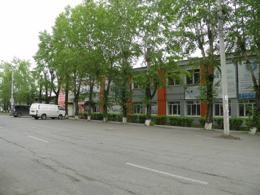 Sürücü kursları Добровольное общество содействия армии, авиации и флоту, Zima, foto