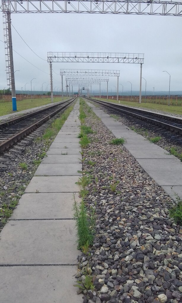 Sınır kapısı Железнодорожный пункт пропуска Махалино, Primoriye, foto