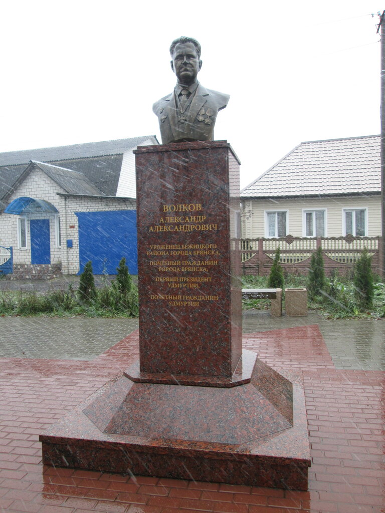 Anıt, heykel А.А. Волков, Briansk, foto