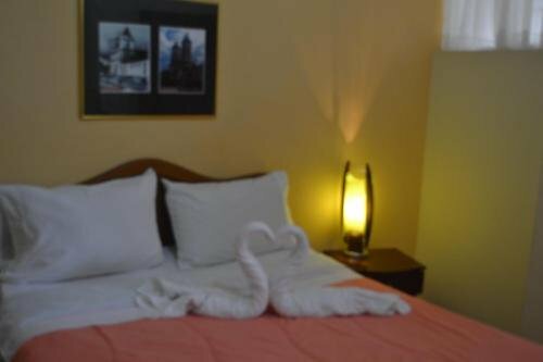 Otel Hotel Dorado Real, , foto