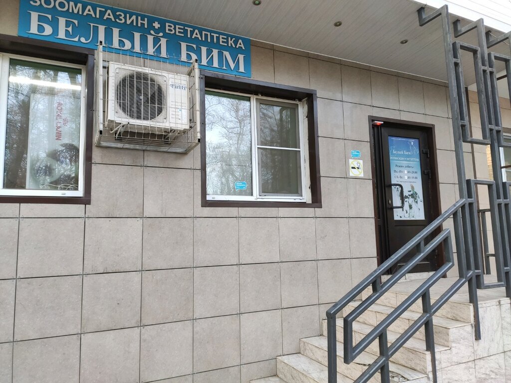 Petshop Bely Bim, Rostov‑na‑Donu, foto