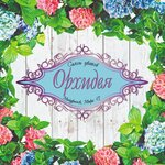 Orhideya (ulitsa Mira No:17), çiçekçiler  Miçurinsk'ten