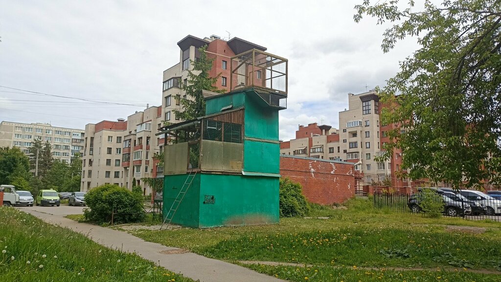 Evcil hayvan yetiştiricileri Голубиный питомник, Saint‑Petersburg, foto