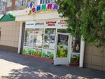 Magazin Vinni (Lenina Street No:104), çocuk oyunları ve oyuncakları  Stavropol'dan