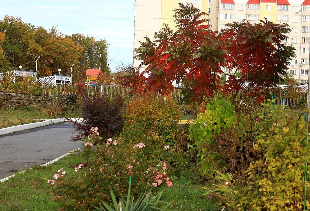 Kültür ve eğlence parkları Дендропарк школы № 50, Orel, foto