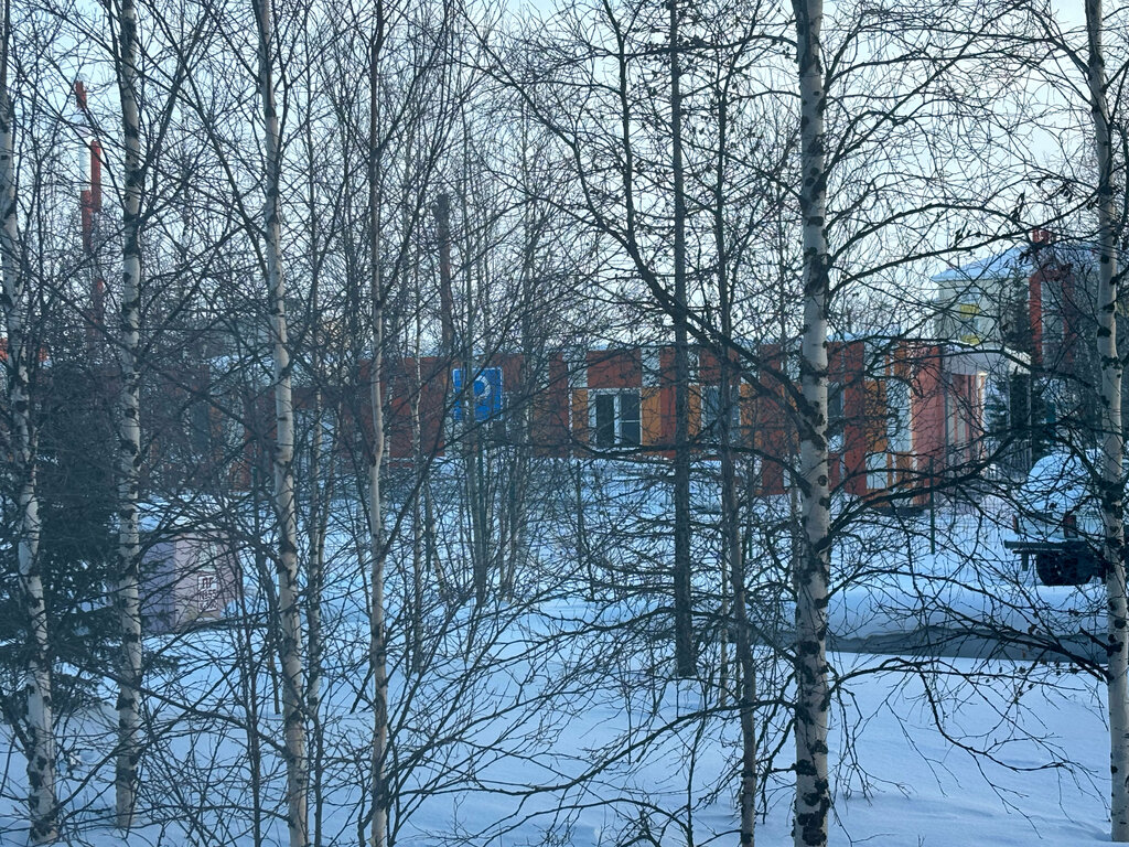 Eğitim merkezleri МОУ ДОД Цтриго Ритм, Yamal‑Nenets Özerk Bölgesi, foto