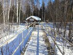 Родник Осиновский (Sverdlovsk Region, Nevyanskiy munitsipalny okrug), pınar, çay  Sverdlovskaya oblastından