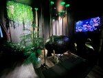 Nuad Thai (Troilinsky Lane No:3), masaj salonları  Moskova'dan