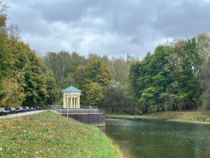 Biryulyovsky Forest Park (Moscow, Biryulyovsky Forest Park), parklar ve ormanlar  Moskova'dan