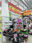 Gnomik (Dinmuxamed Kunayev Street No:208), çocuk ayakkabı mağazaları  Aktöbe'den