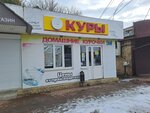 Домашние курочки (Fevralskaya ulitsa No:192, Pyatigorsk), kanatlı hayvan ürünleri ve yumurta  Pyatigorsk'tan