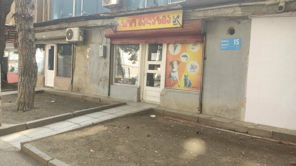 Petshop ზოო მაღაზია, Tiflis, foto