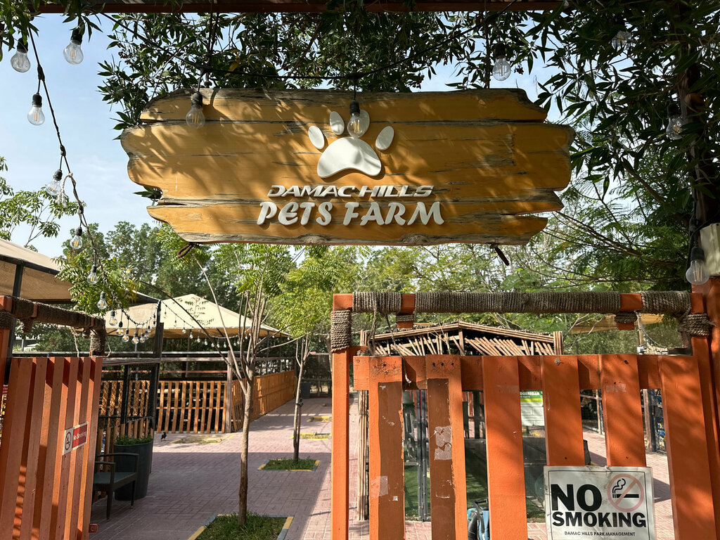 Hayvanat bahçeleri Pet Farm, Dubai, foto