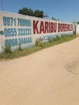 Karibu Boreholes (Independence Avenue No:575), i̇nşaat firmaları  Lusaka'dan