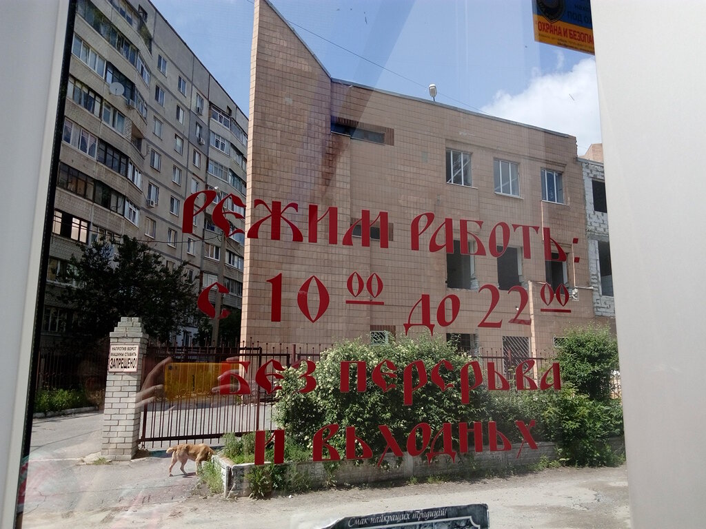 Bira dükkanı Zhivoye pivo kvas, Harkiv, foto