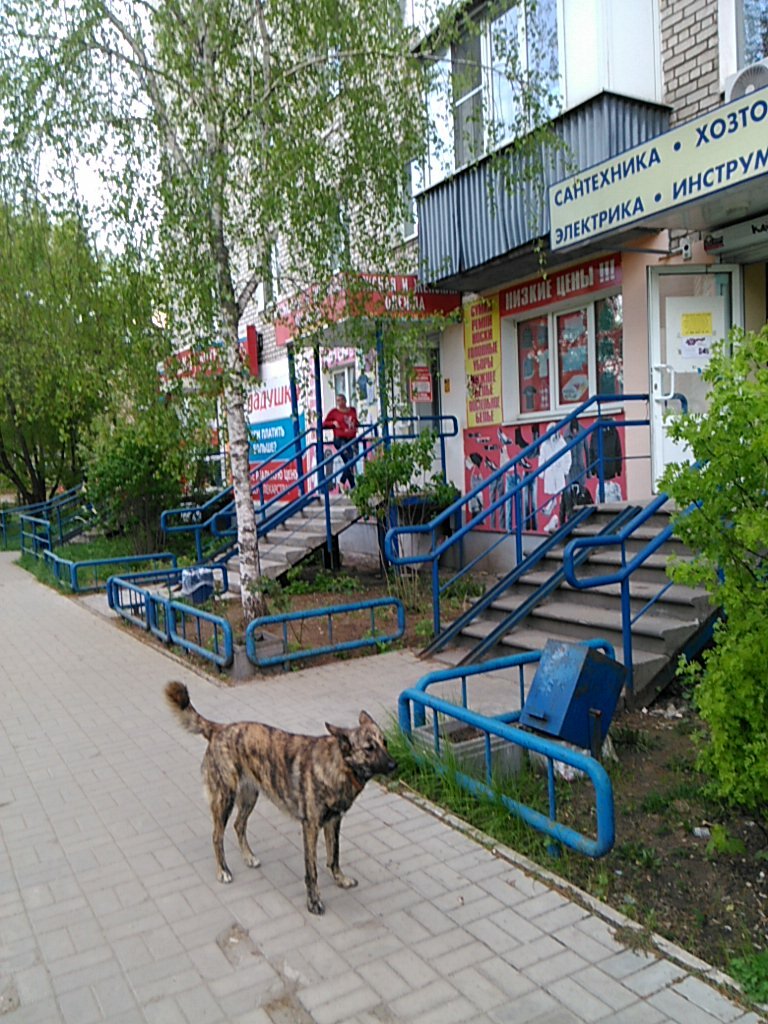 Giyim mağazası Muzhskaya i zhenskaya odezhda, Nijni Novgorod, foto