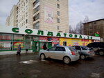 Pet Supplies (Soldatova Street No:26), petshop  Perm'den