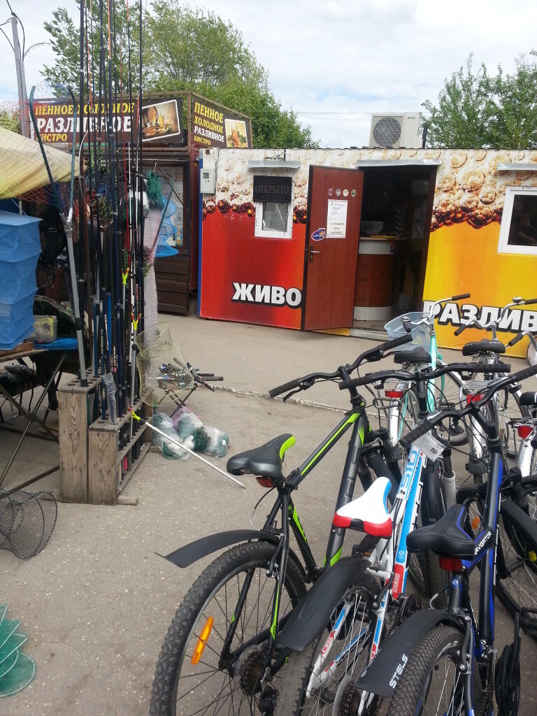 Bira dükkanı Pennoye kholodnoye razlivnoye bistro, Tolyatti (Togliatti), foto
