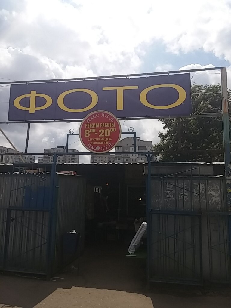 Petshop Zootovary Purina, Harkiv, foto