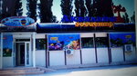 Akvalayf zootsentr (Vysochanska selyshchna hromada, selyshche miskoho typu Pokotylivka, Kooperatyvna vulytsia), petshop  Harkivska oblastından