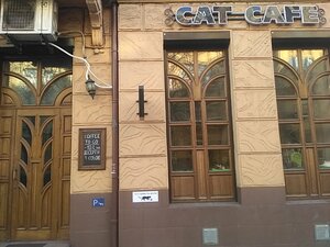 Cat Cafe (улица Степана Бандеры No:47А, Львов), restoran  Lviv'den