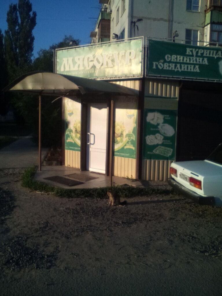 Kasap, şarküteri Мясокур, Volgogradskaya oblastı, foto