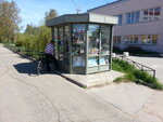 Svyatoslav (St. Petersburg, Lomonosov, Krasnogo Flota Street), gazete bayi  Lomonosov'dan