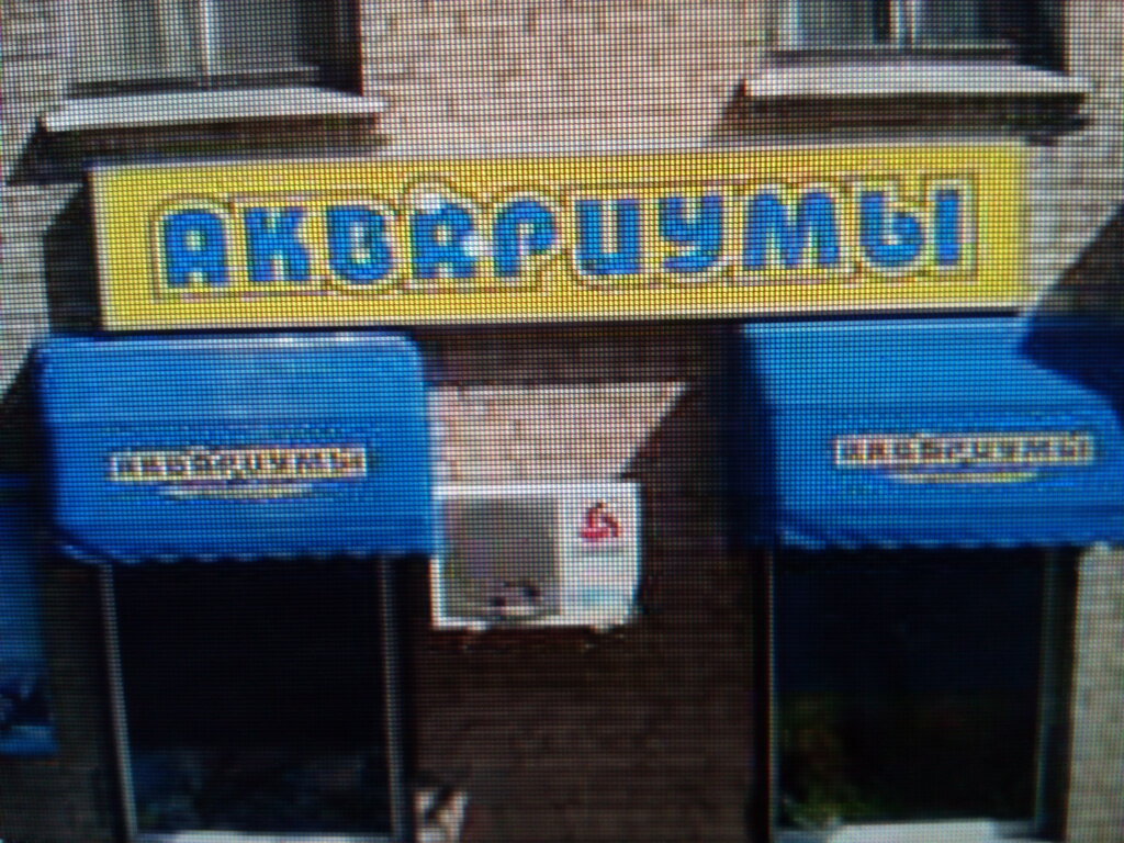 Petshop FishMarket. org.ua, Harkiv, foto