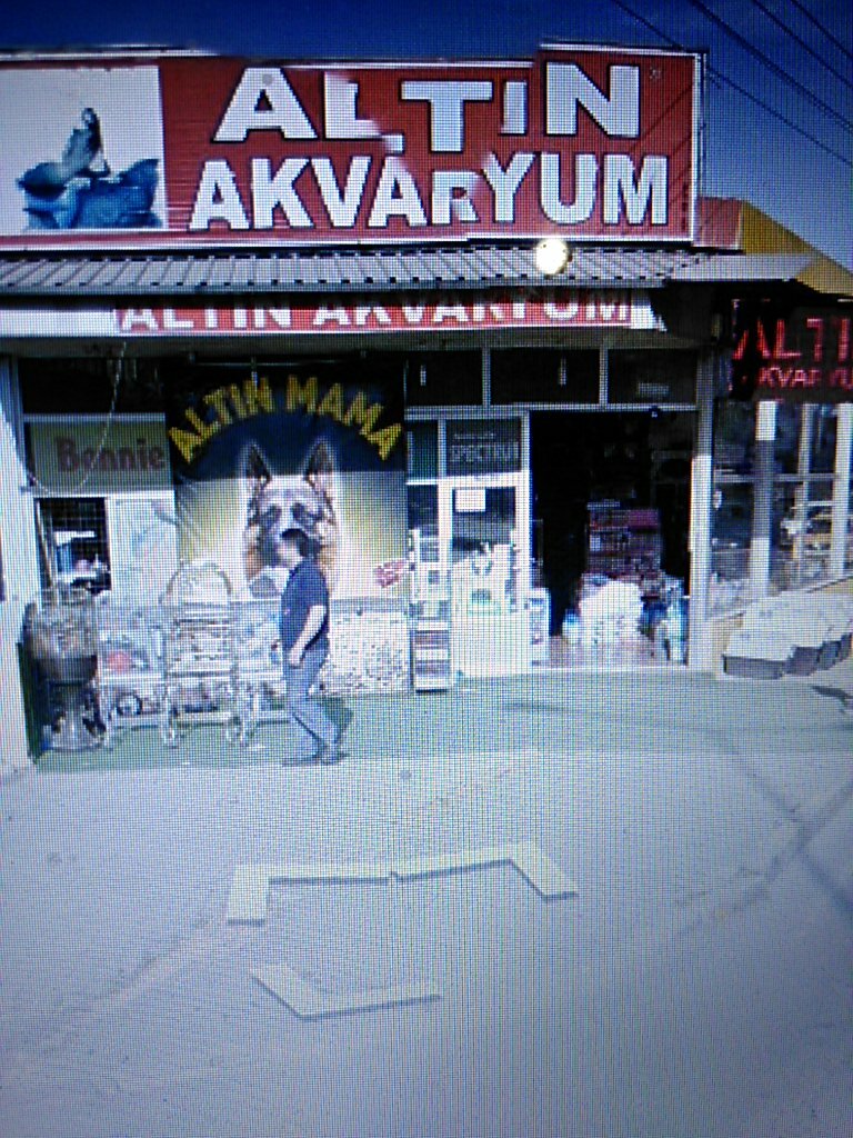 Akvaryumlar Altın Akvaryum, İzmir, foto