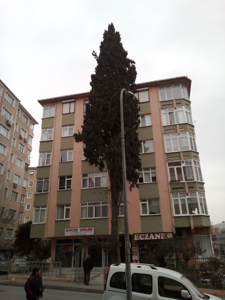Emlak ofisi Geçer Emlak, İstanbul, foto