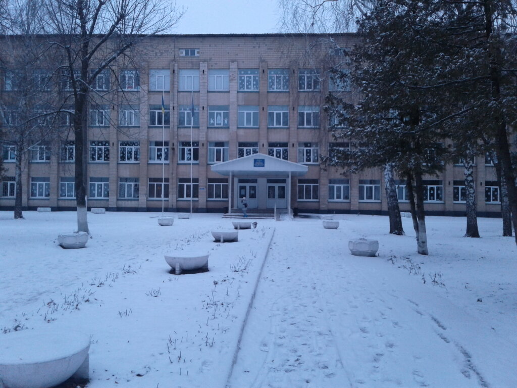 Ortaokul Borispolskaya srednyaya shkola № 8, Borispil, foto