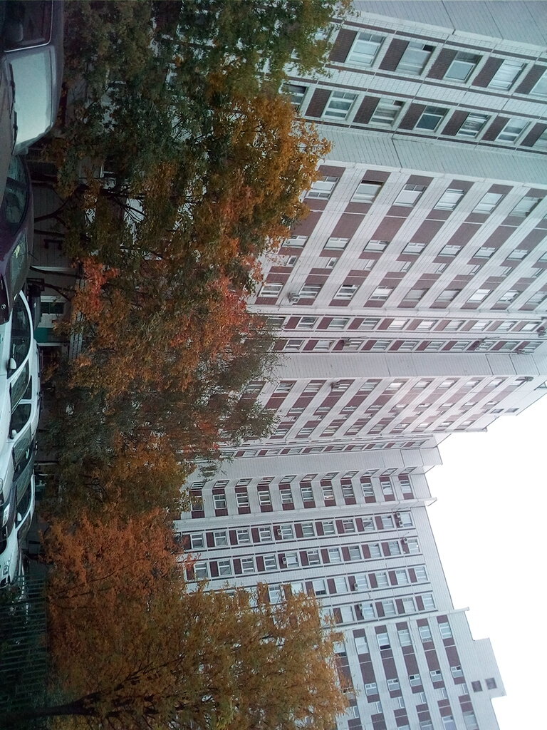 Bina, site yönetimi ТСЖ Исток, Moskova, foto
