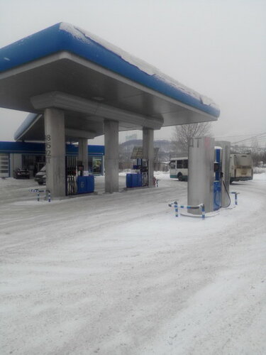 Benzin istasyonu Fuel Energy, Nijegorodskaya oblastı, foto