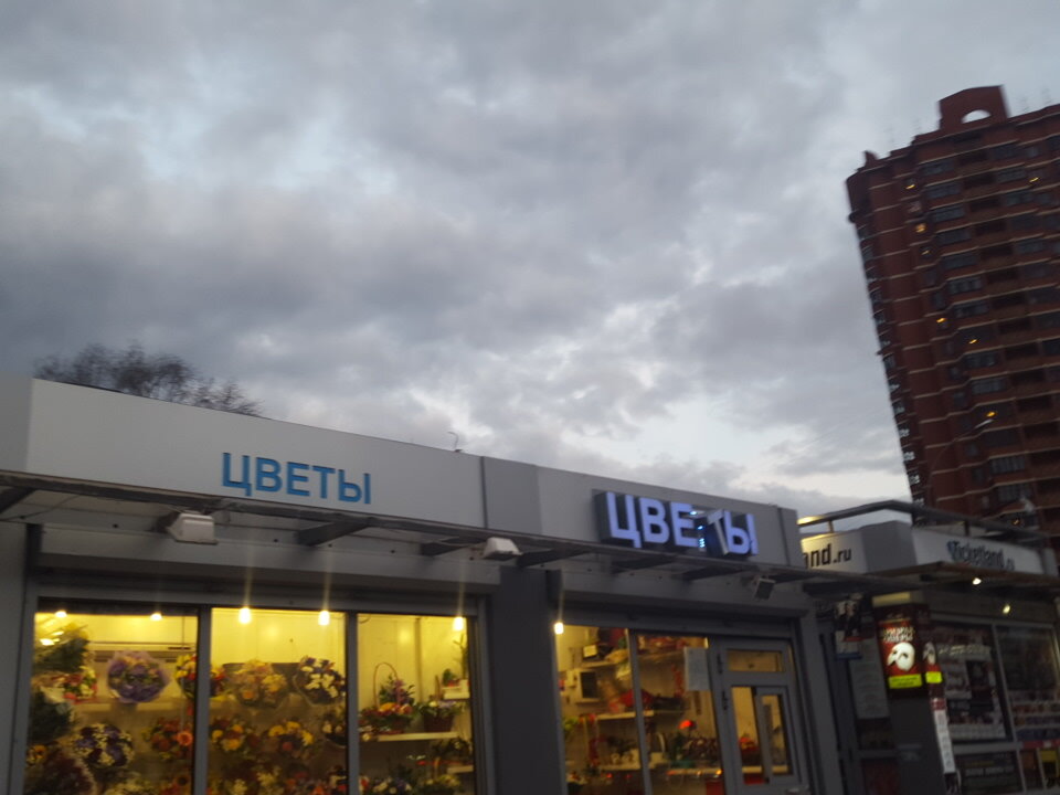 Çiçekçiler Azbuka Tsvetov, Moskova, foto