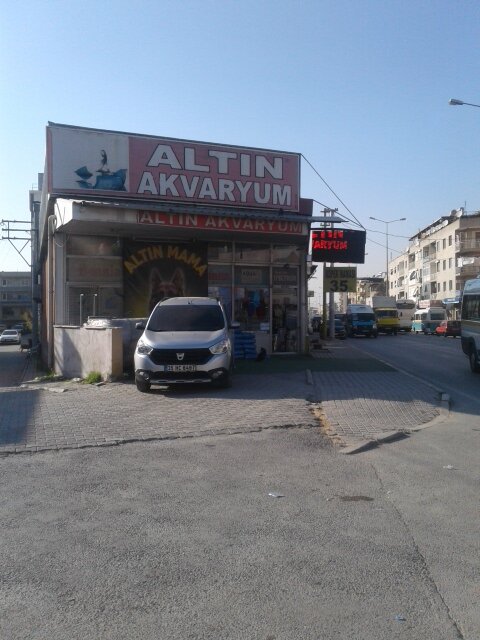 Akvaryumlar Altın Akvaryum, İzmir, foto