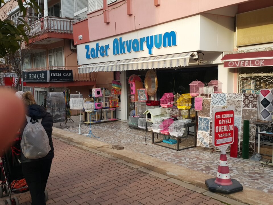 Akvaryumlar Zafer Akvaryum, Antalya, foto